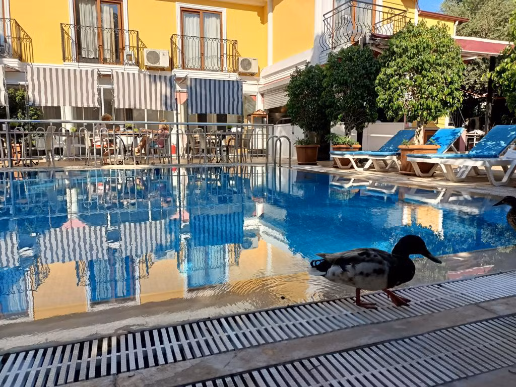 Hotel Barlas Fethiye | Etstur